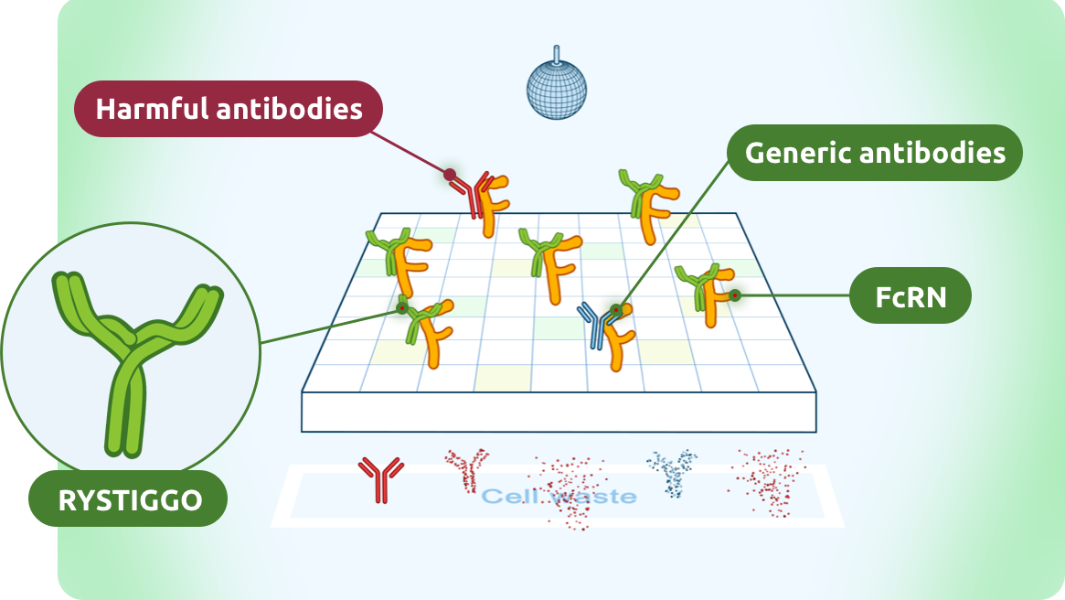 How RYSTIGGO® Targeted Treatment Works